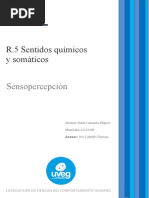 Reto 5. Modelos Cognitivos Casos Practicos | PDF | Conocimiento | Aquisición de idioma