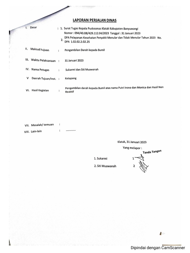 Kunjungan Rumah Pengambilan Sample Darah Bumil Jan | PDF