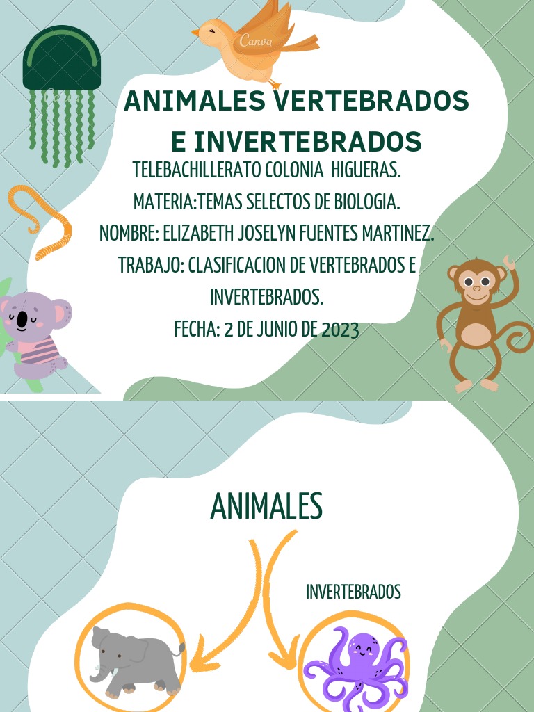 Clasificación de Los Animales | PDF | Anfibio | Vertebrados