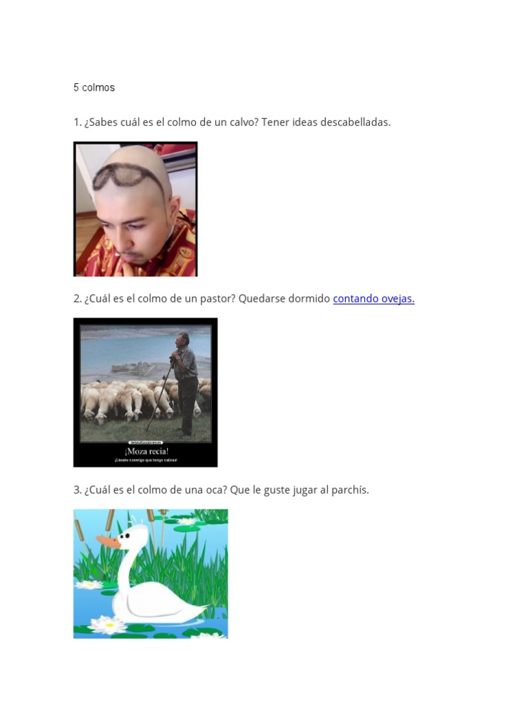 5 Colmos | PDF