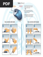 2º Prim - Mouse | PDF