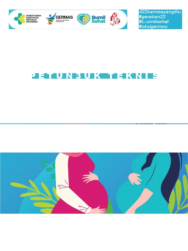 Files46305juknis Gerakan Bumil Sehat | PDF