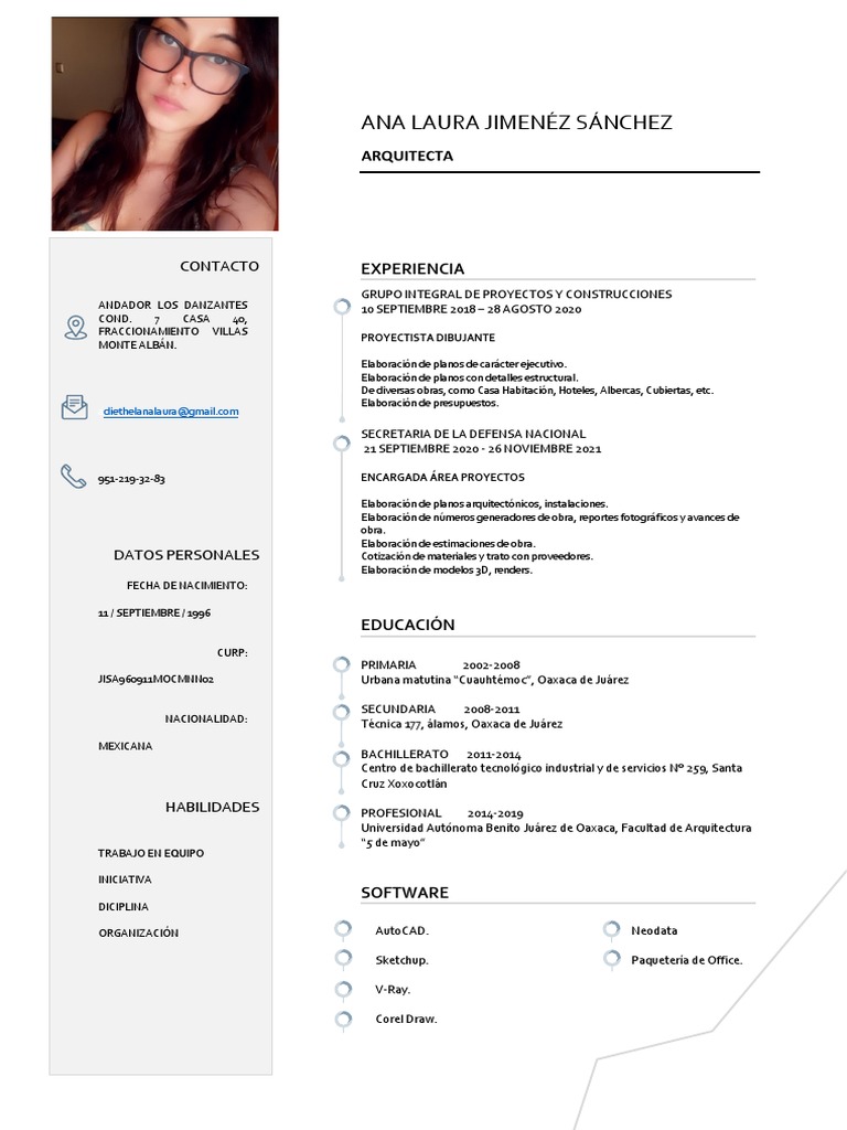 CV Ana Laura | PDF