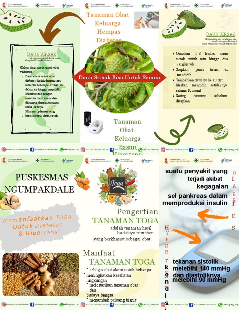 LEAFLET Pemanfaatan TOGA Untuk DM & HT (PKM NGUMPAKDALEM) | PDF
