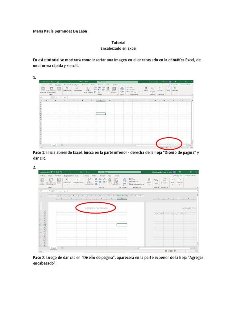 Tarea Tutorial - Encabezado en Excel | PDF