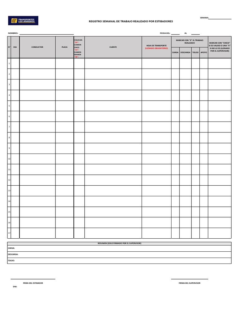 Formato de Carga y Descarga | PDF