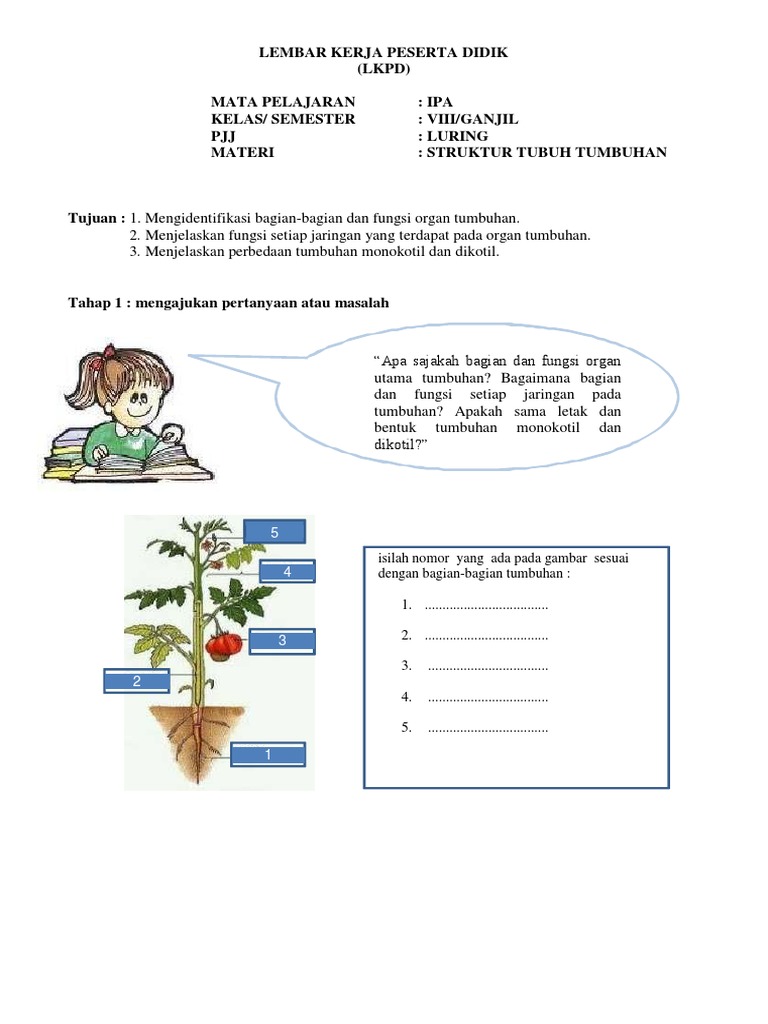 7-Struktur Tubuh Tumbuhan | PDF | Griya & Taman | Kesehatan Holistik