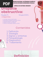 Obstrucción y Estasis Urinaria | PDF | Vejiga urinaria | Urología