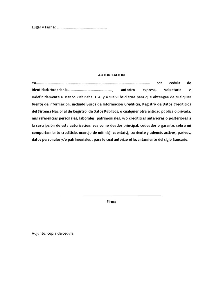 Carta de Autorización | PDF