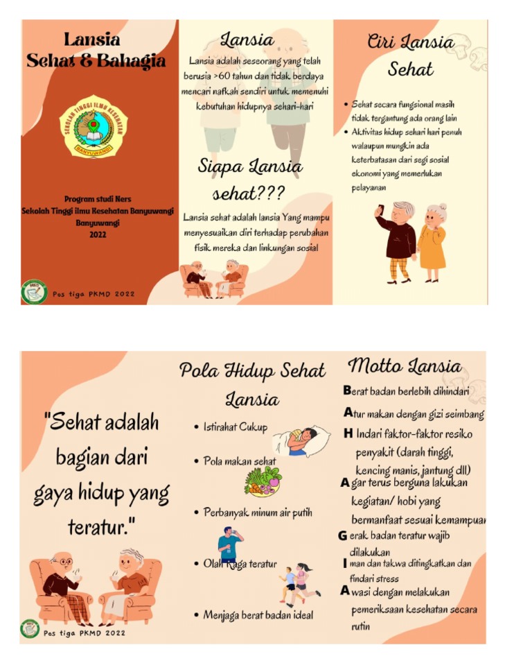 Leaflet Lansia | PDF