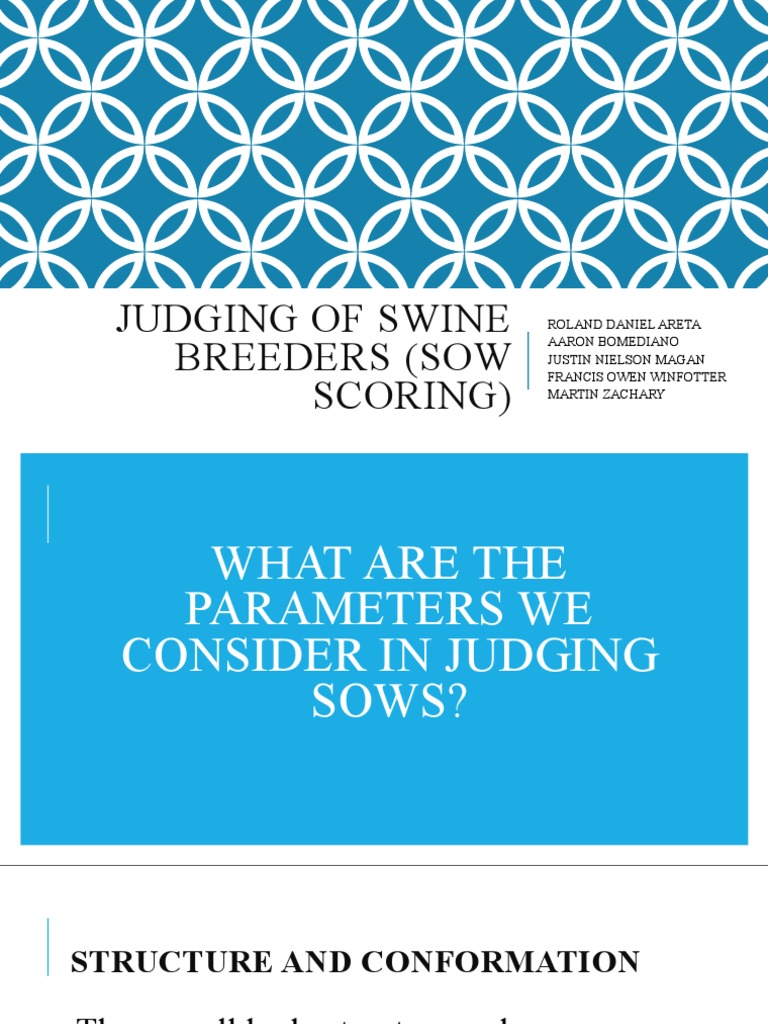 Sow Scoring_GROUP 2 | PDF
