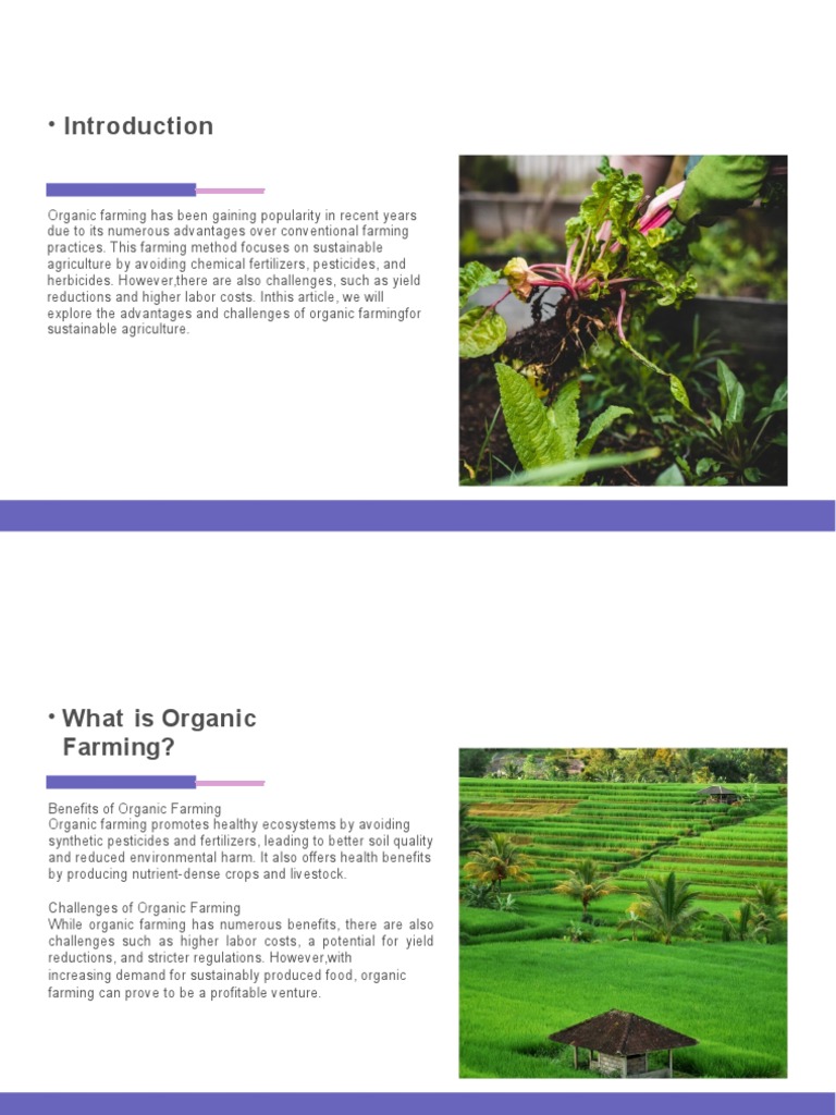 Organic Farming PPT CLASS 12 | PDF | Organic Farming | Agriculture