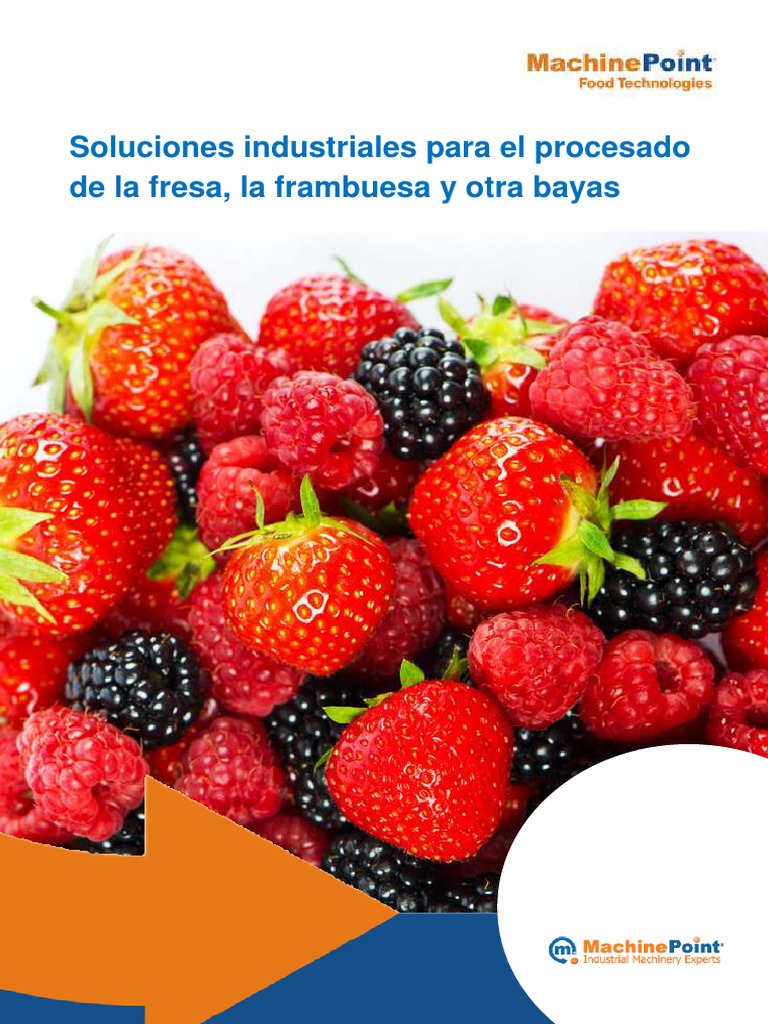 El Procesado De La Fresa Machinepoint Food Technologies Pdf