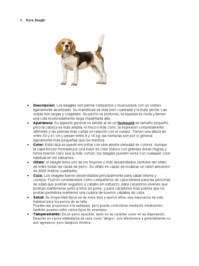 Raza de Perros | PDF | Cría de animales | Subespecie De Canis Lupus