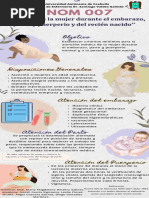 Erio-Equipo de Respuesta Inmediata Obstetrica | PDF | Reproducción ...