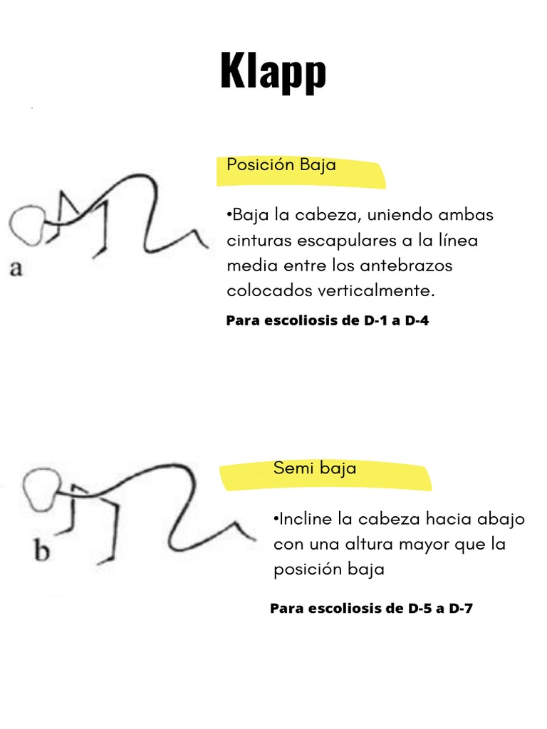 Guía klapp | PDF