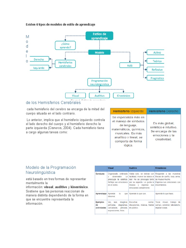 Existen 6 Tipos de Modelos de Estilo de Aprendizaje | PDF | Creatividad | Hemisferio cerebral
