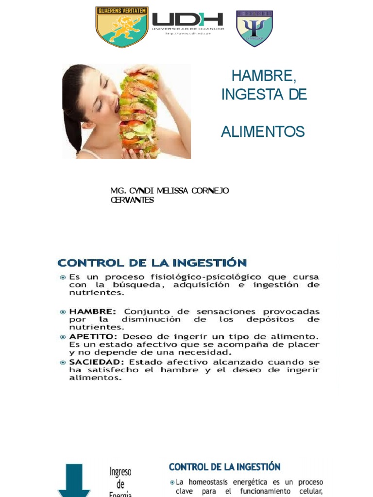 Hambre e Ingesta de Comida | PDF | Alimentos | Carbohidratos