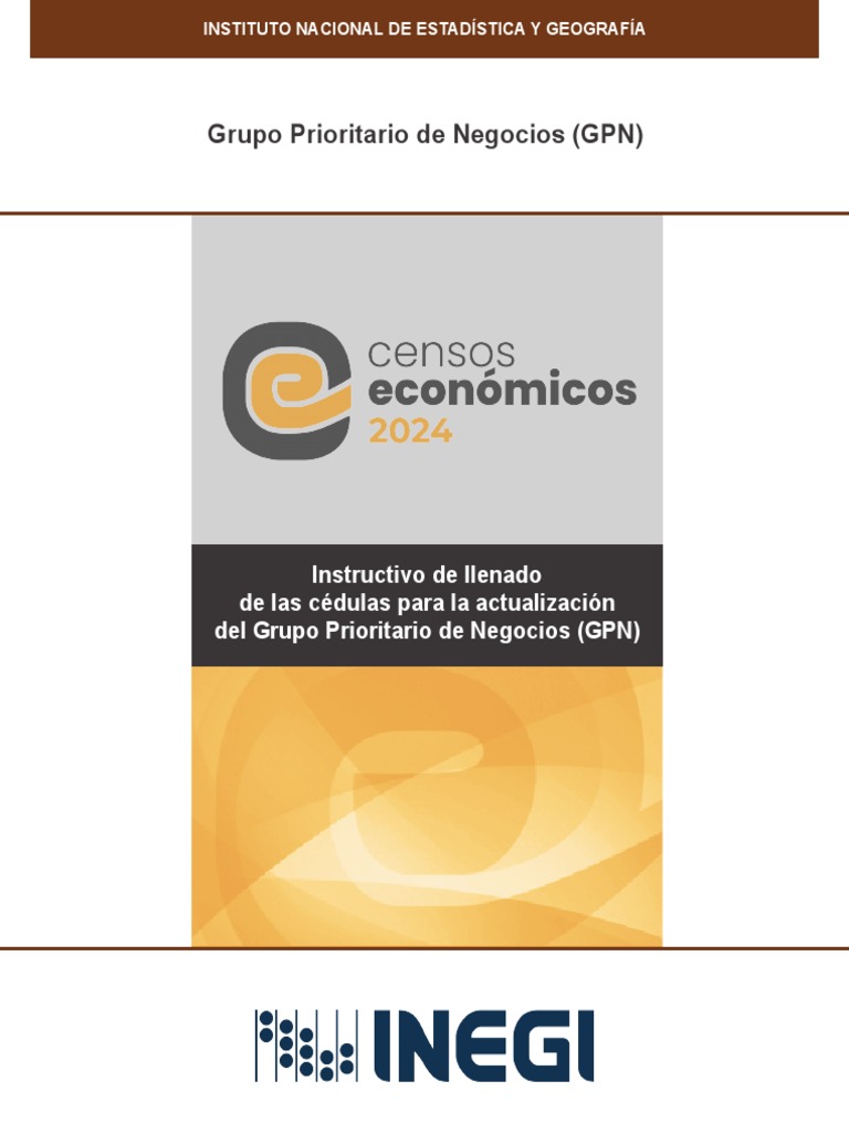 Inst Llenado Ced GPN 2024 | PDF | Estadísticas | Censo
