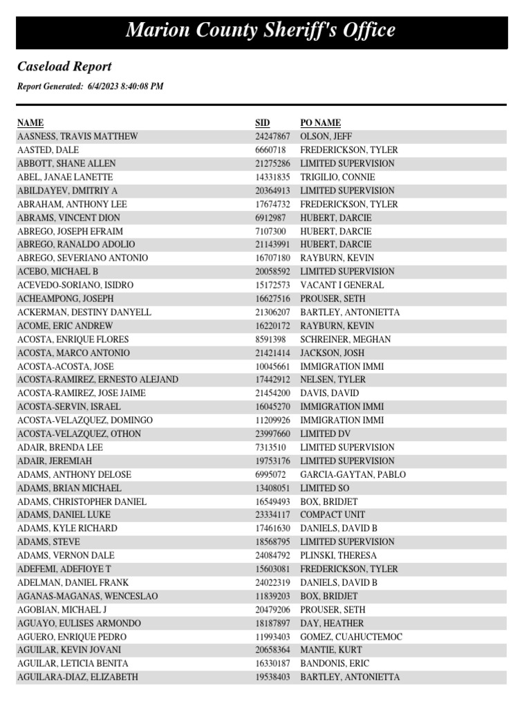 Caseload Alphabetical | PDF