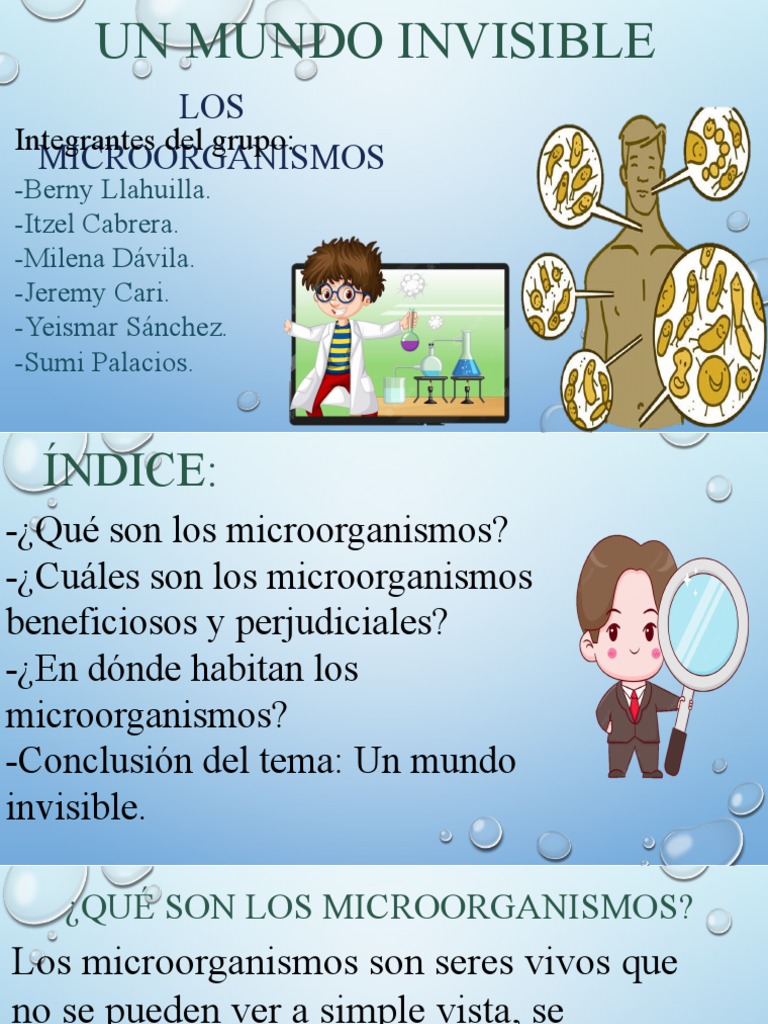 Un Mundo Invisible | PDF