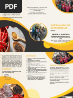 Insecticida Natural Apichi: Receta y Uso | PDF | Suelo | Insectos