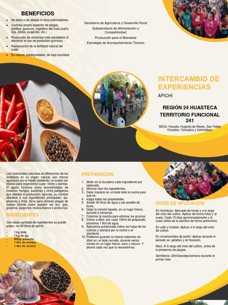Triptico Apichi | PDF | Agricultura | Plaga (organismo)