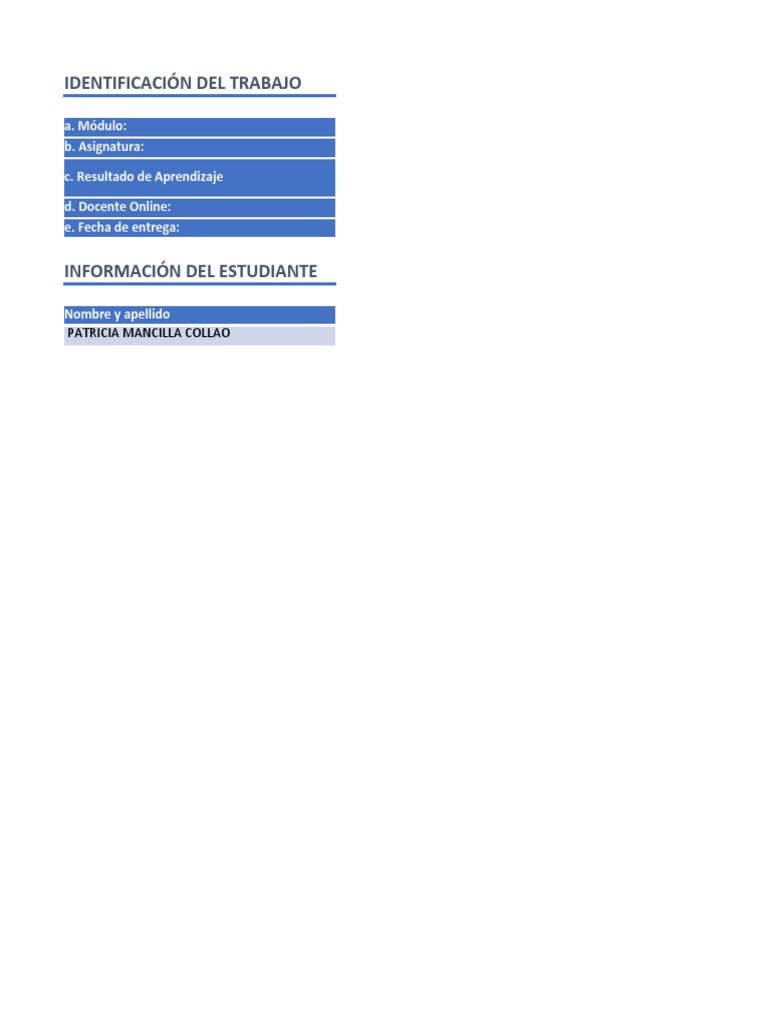 Informe de Patricia Mancilla Collao | PDF | Business