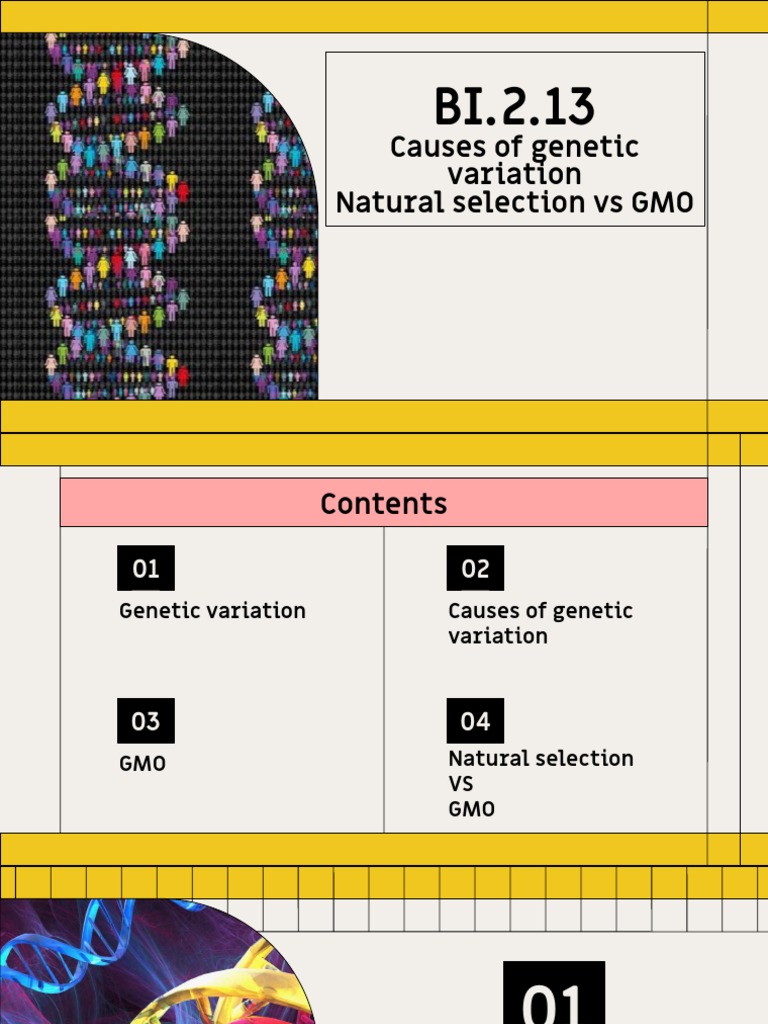 Causes of Genetic Variation | Download Free PDF | Genetics | Genetic ...