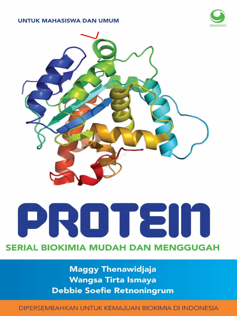 Protein Serial Biokimia Mudah Dan Menggugah | PDF