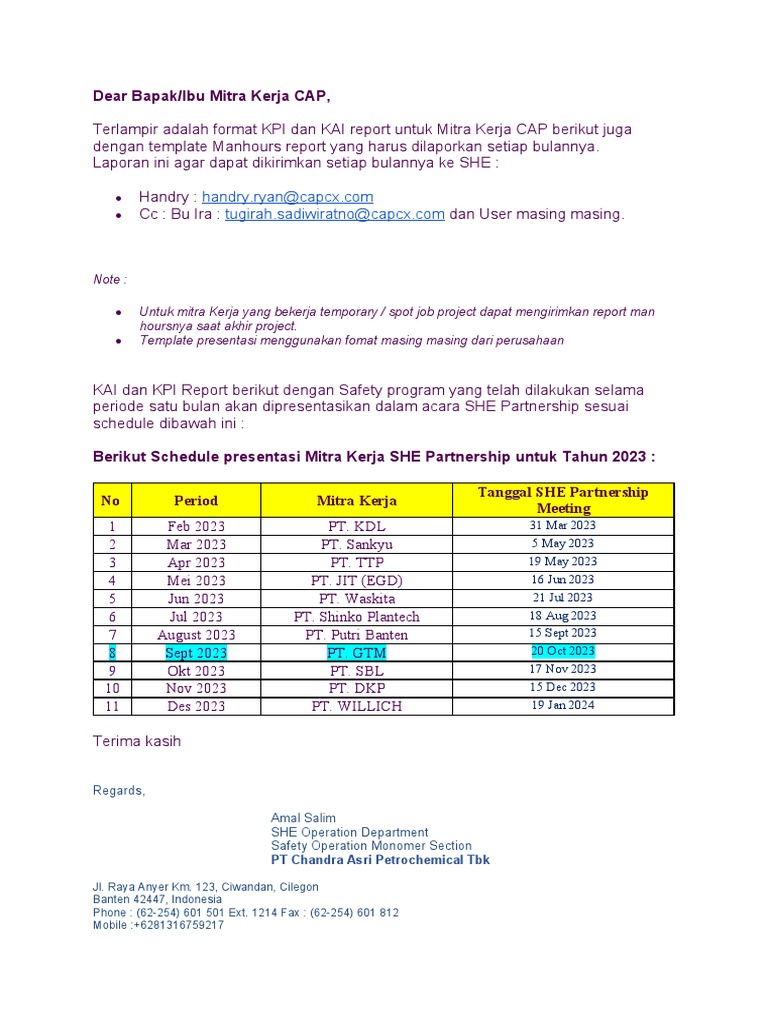 KPI and KAI Reporting Guidelines for CAP | PDF