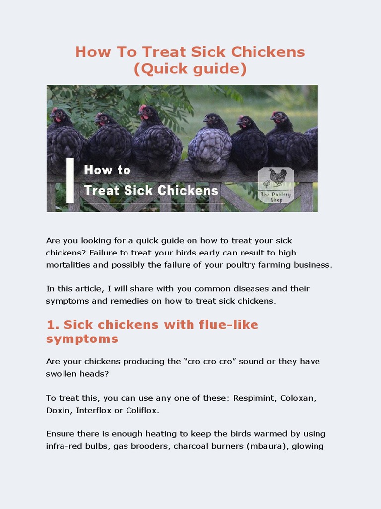 How To Treat Sick Chickens (Quick Guide) - The Poultry Shop | PDF ...
