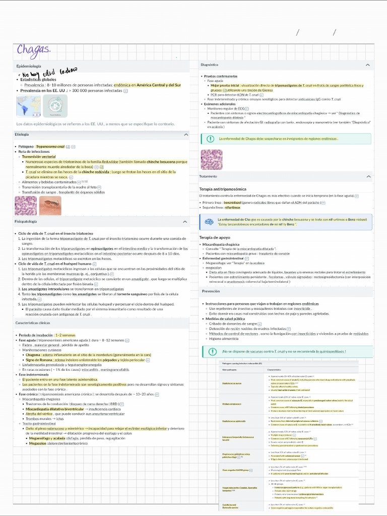 Infecciones Corazón 230614 153440 | PDF