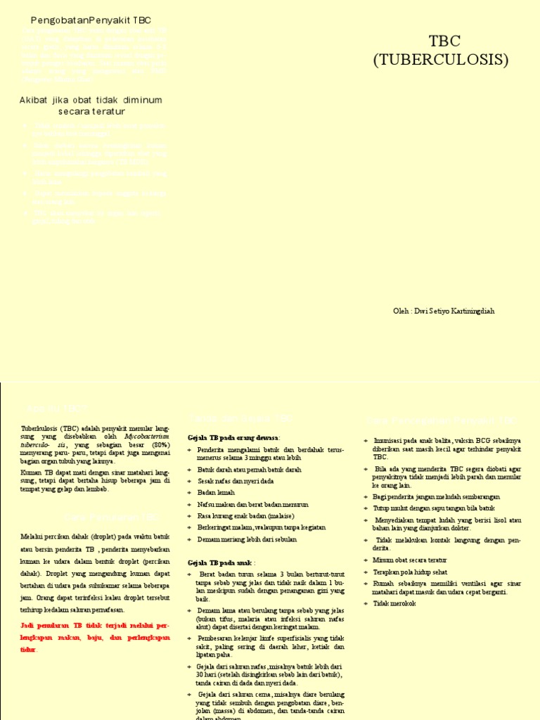 Panduan Pengobatan dan Pencegahan TBC | PDF