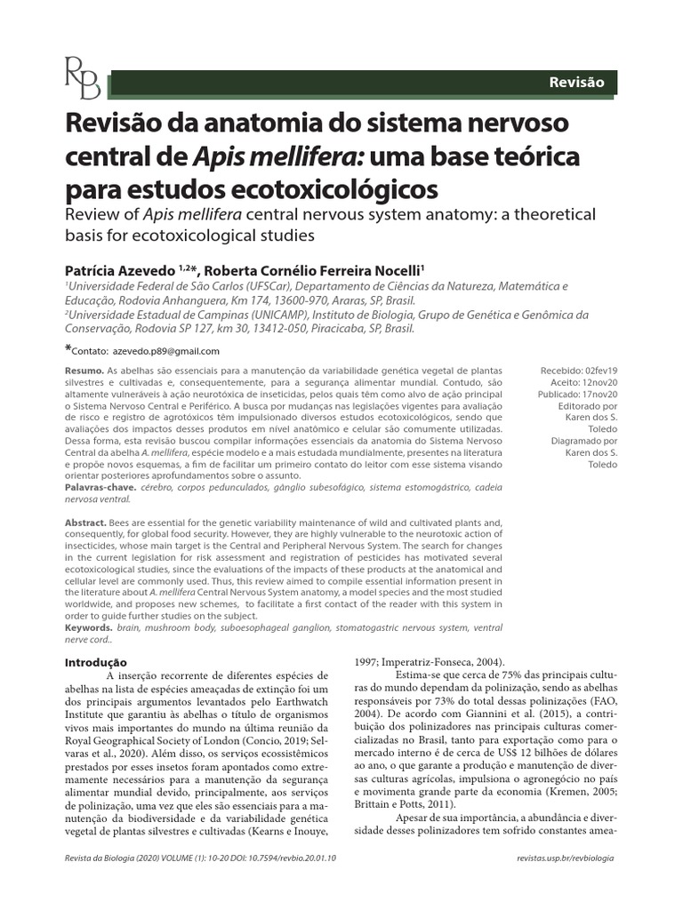 Revisão Da Anatomia Do Sistema Nervoso Central De Apis Mellifera Uma