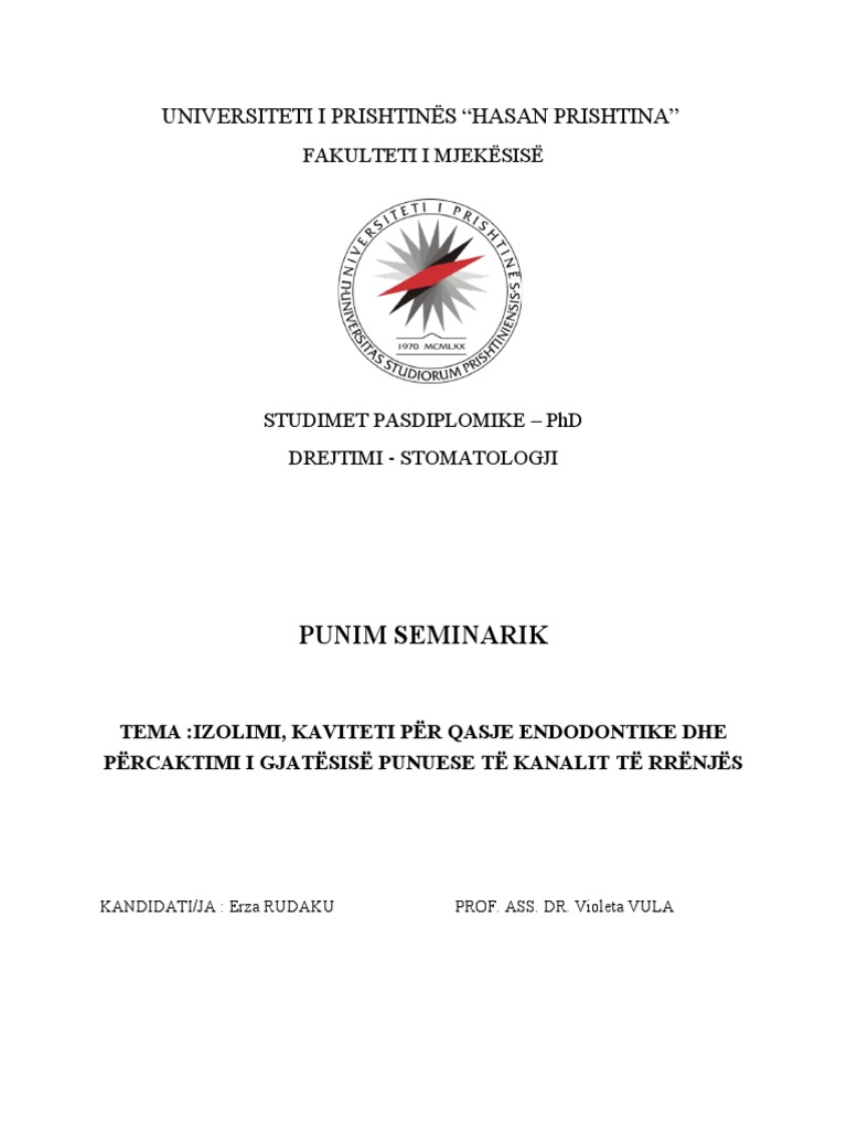 Punim Seminarik | PDF