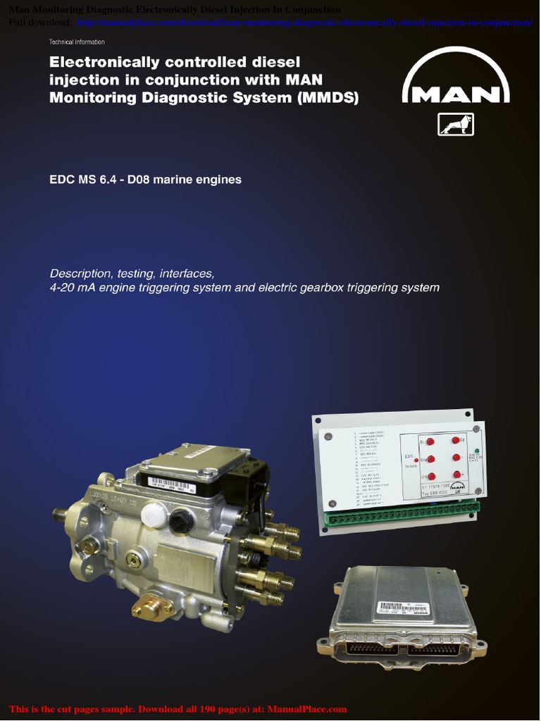 Man Monitoring Diagnostic Electronically Diesel Injection in ...