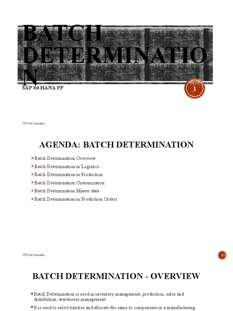 2.+Batch+Determination S4+HANA | PDF