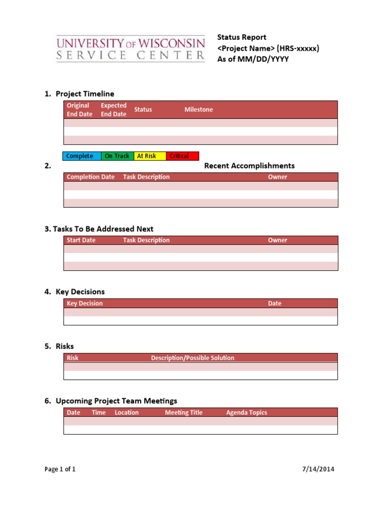 Pmo Status Report Template | PDF