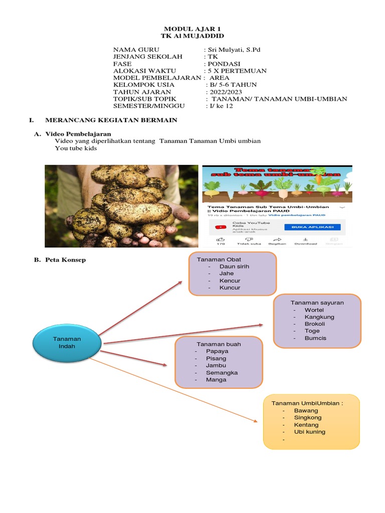 Modul Ajar TK: Tanaman Umbi | PDF