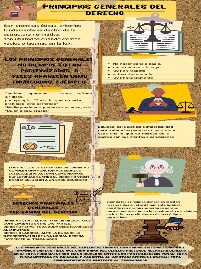 Principios Generales Del Derecho | PDF