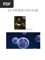 Descubrimiento de la célula por Hooke | PDF