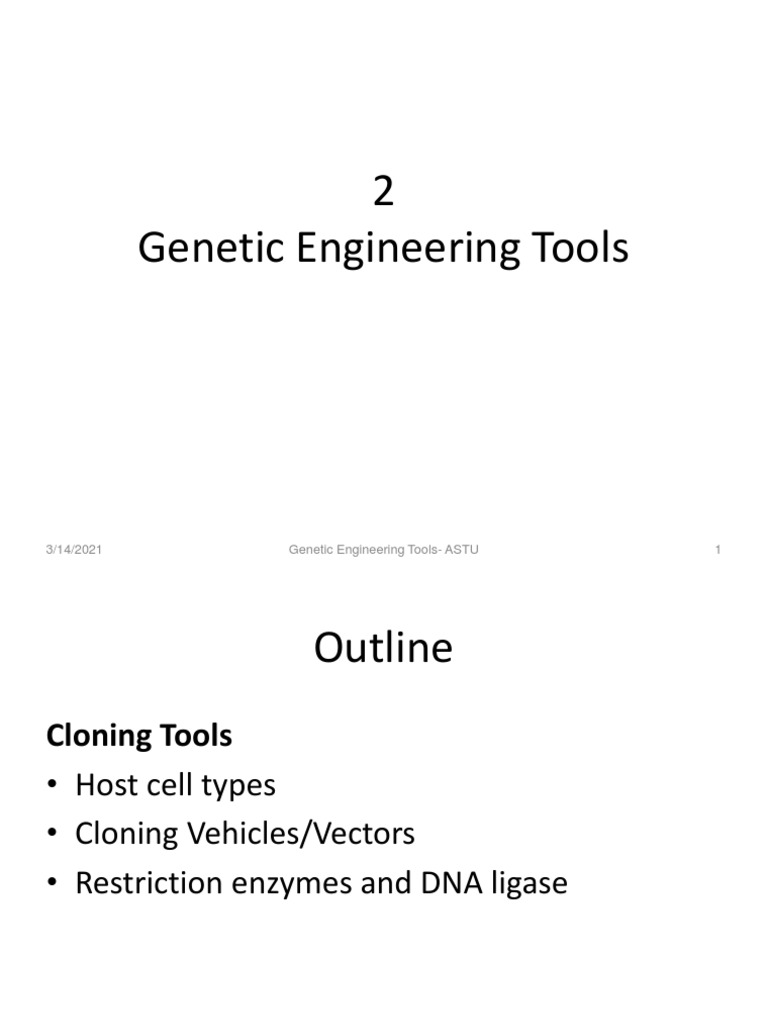 Genetic Engineering Tools | PDF | Plasmid | Molecular Cloning