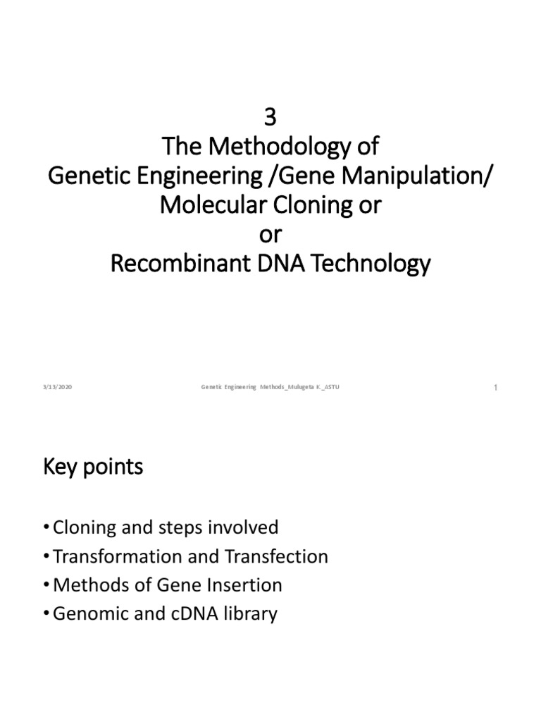 Methodology of Genetic Engineering | PDF