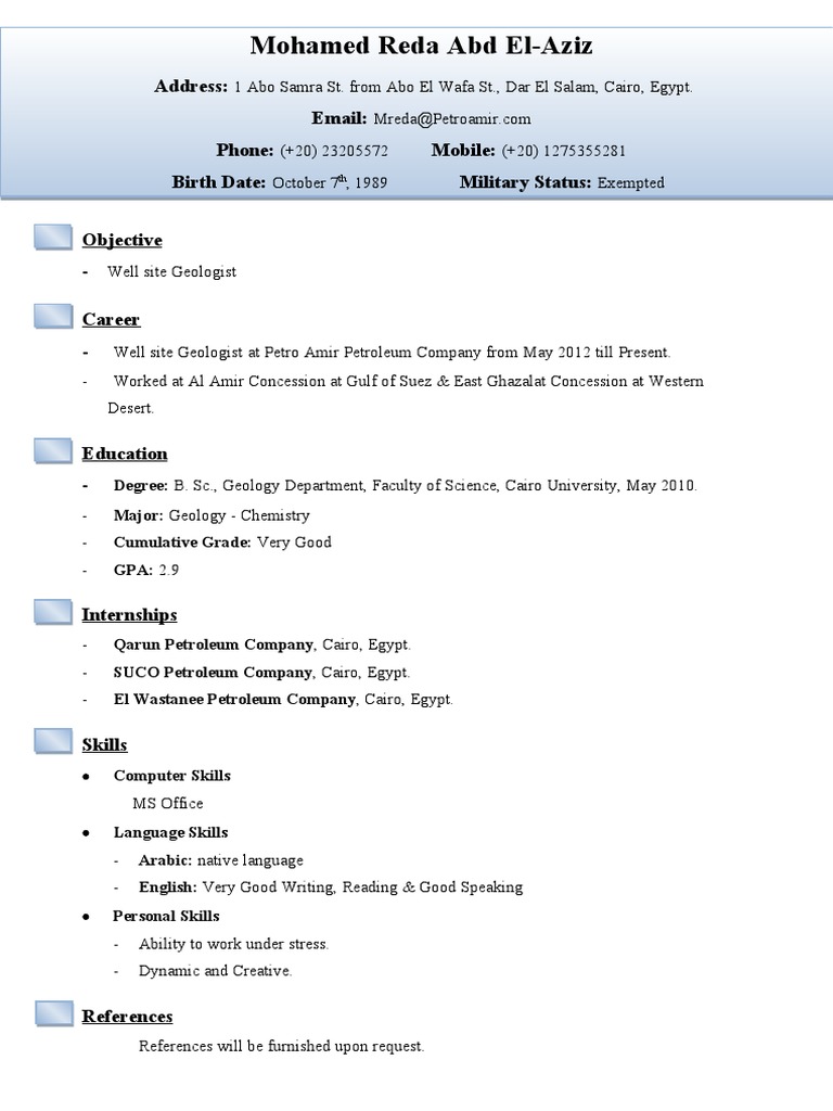 Mohamed Reda CV | PDF