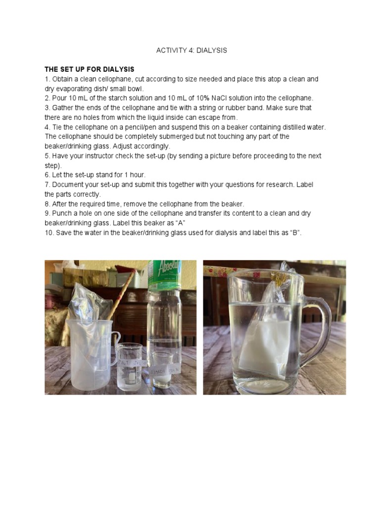 GROUP 4 Activity 4 Group Work PDF | PDF | Osmosis | Kidney