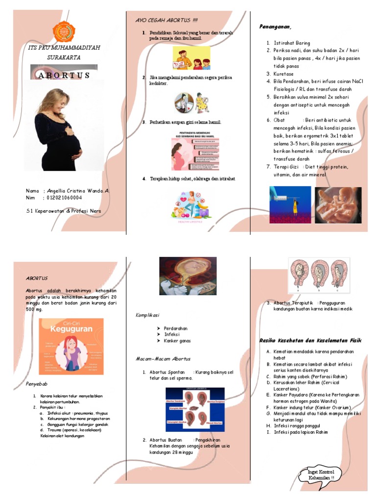 Leaflet-Abortus 2 | PDF