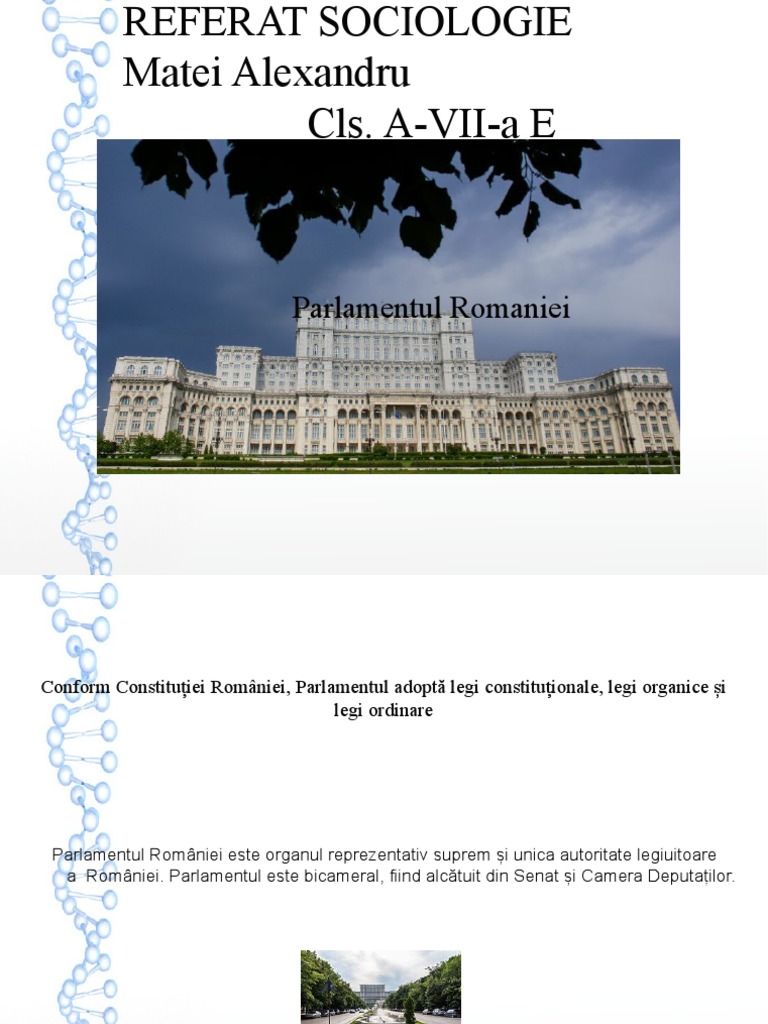 guvernul romaniei.pptx3 | PDF