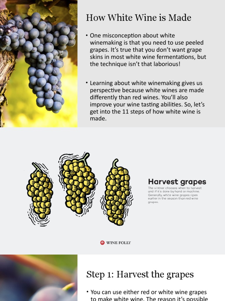 How White Wine is Made: A Step-by-Step Guide | PDF