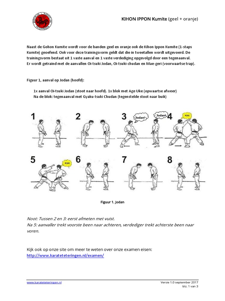 Kihon Ippon Kumite | PDF